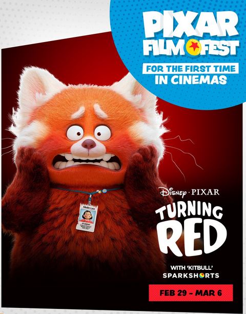 Saraton Cinema - Now Showing